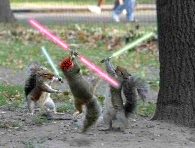 Stinque » Slutty Squirrels